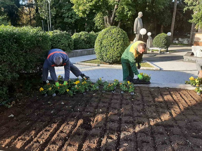 Za ljepše Trebinje - Počela jesenja sadnja cvijeća (Foto) | Trebinje Live